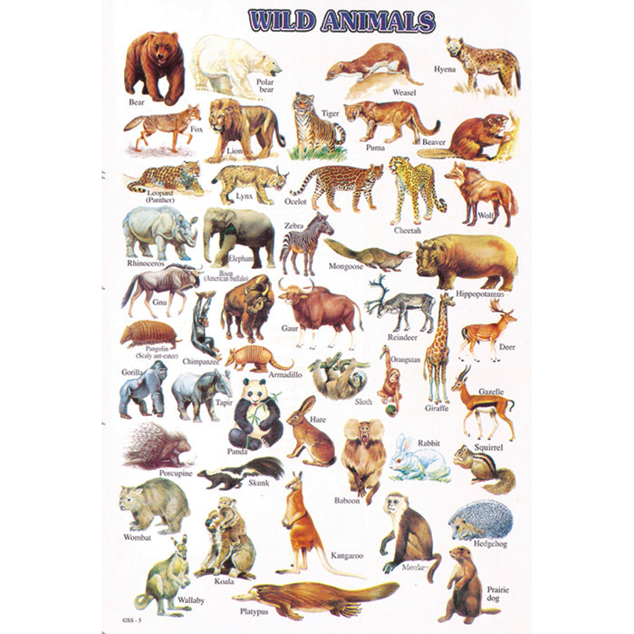 Sheet No 52 ( Wild Animals) – gabaedu