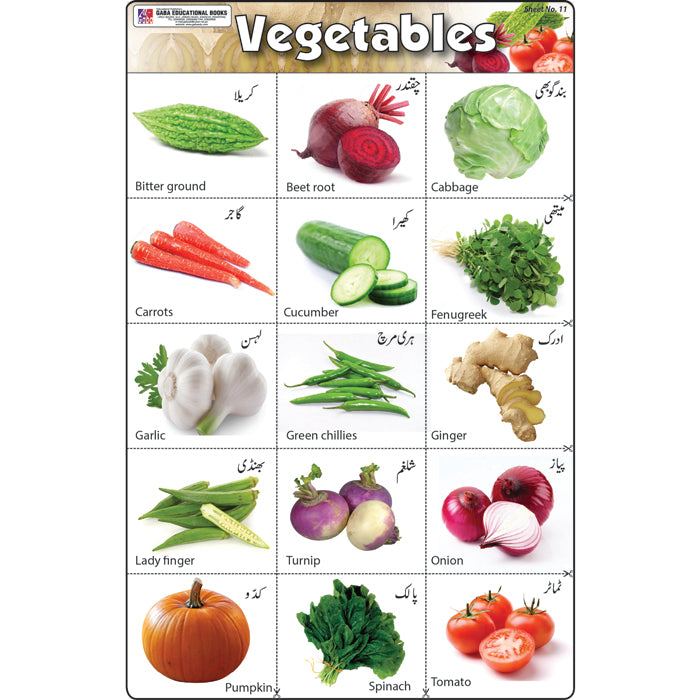 Sheet No 11 (Vegetables) – gabaedu