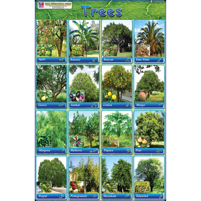 Sheet No 121 ( Trees) – gabaedu