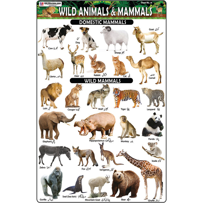 Sheet No 31 (Wild Animals and Mammals) – gabaedu