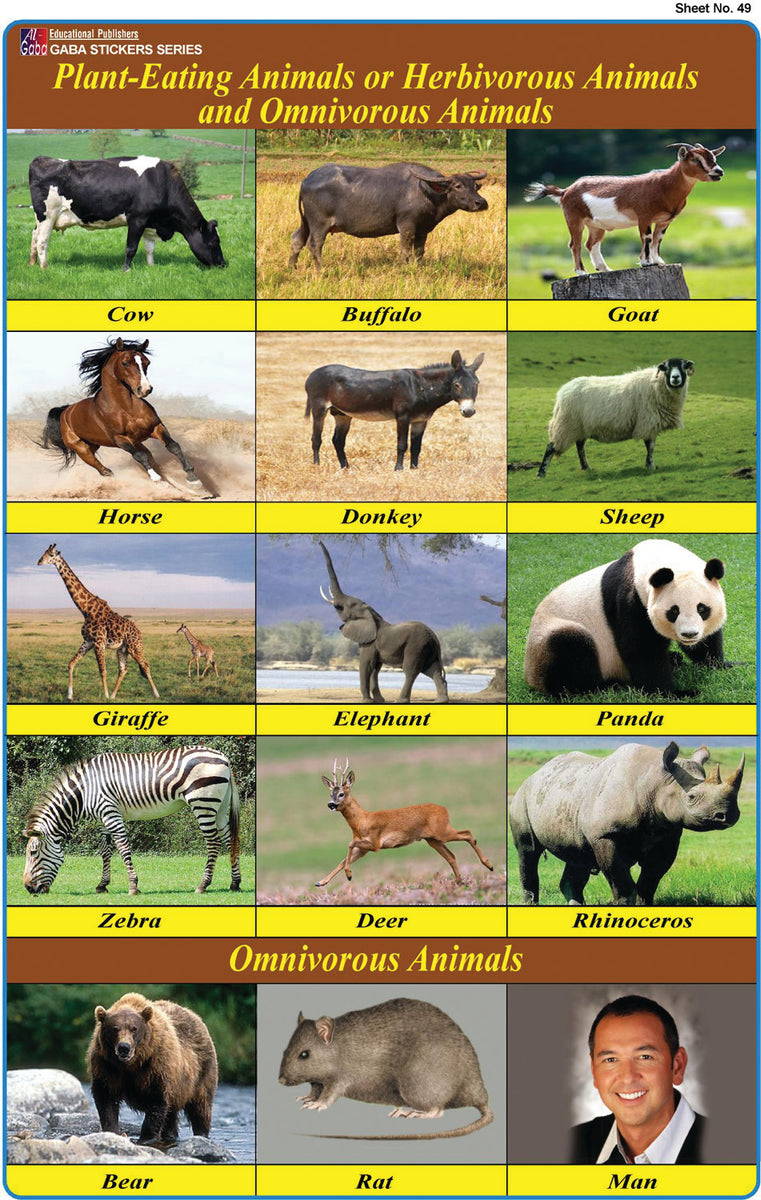 Sheet No 49 (Plant-Eating Animals or Herbivorous Animals and Omnivorou ...