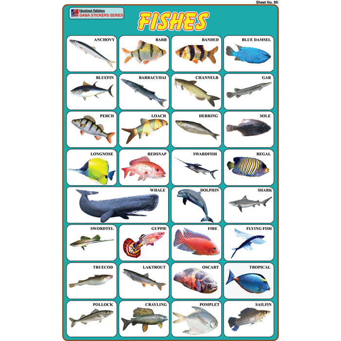 Sheet No 89 (Fish) – gabaedu
