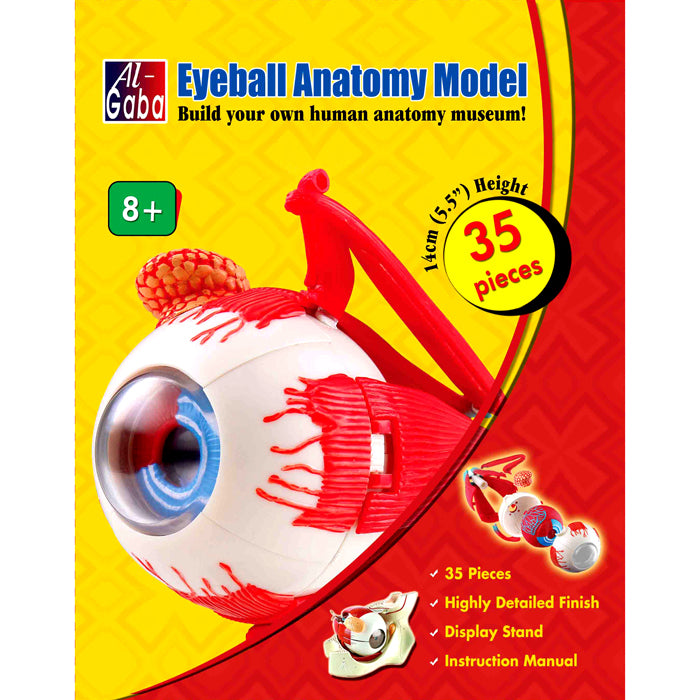 Lab Equipment Eyeball (35 Pieces) – gabaedu
