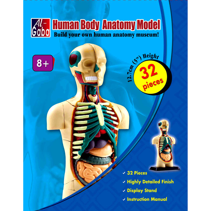Lab Equipment Human Body (32 Pieces) – gabaedu