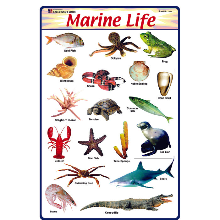 Sheet No 180 (Marine Life) – gabaedu