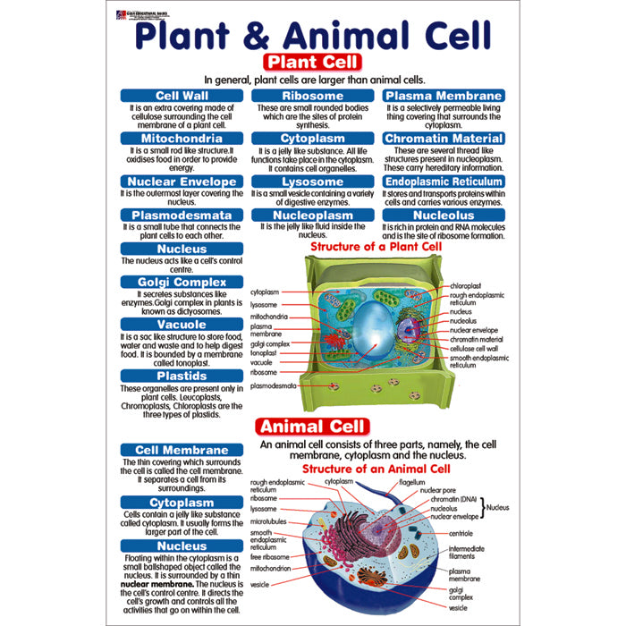 Chart No 87 (Plant and Animal Cell) – gabaedu