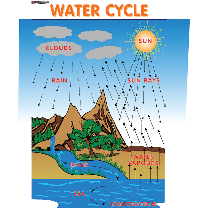 Chart No 183 (Water Cycle) – gabaedu