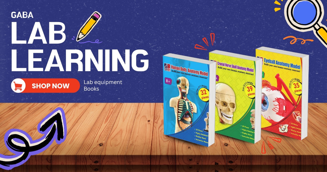 Lab Learning Materials – gabaedu