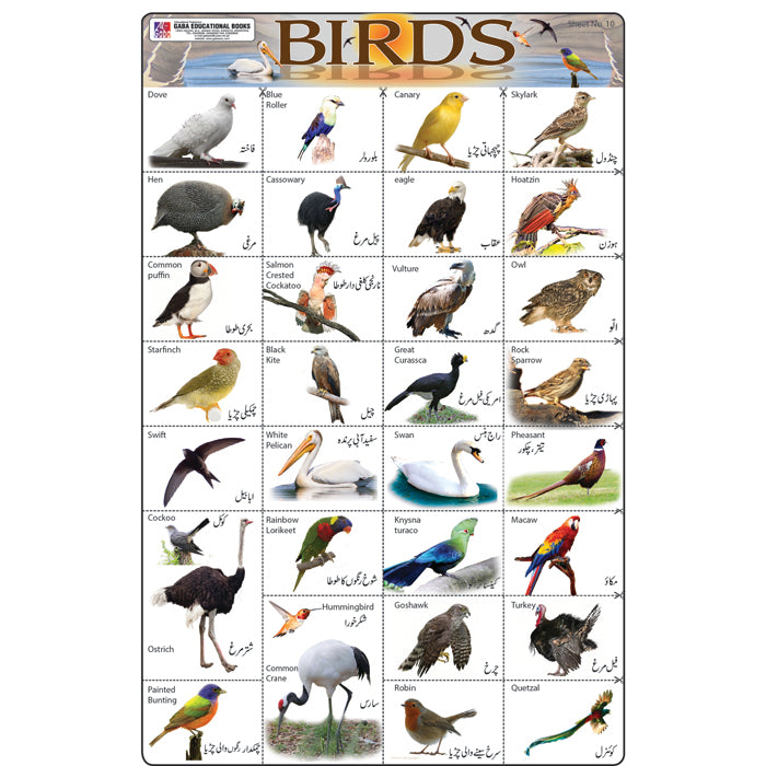 Sheet No 10 (Birds) – gabaedu