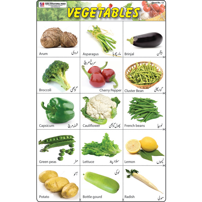 Sheet No 12 (Vegetables) – gabaedu
