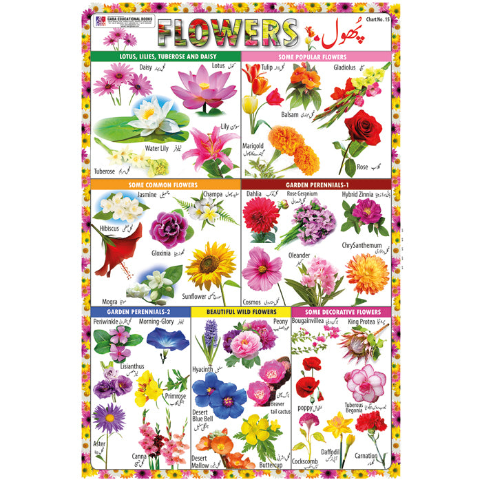Chart No 15 ( Flower) – gabaedu