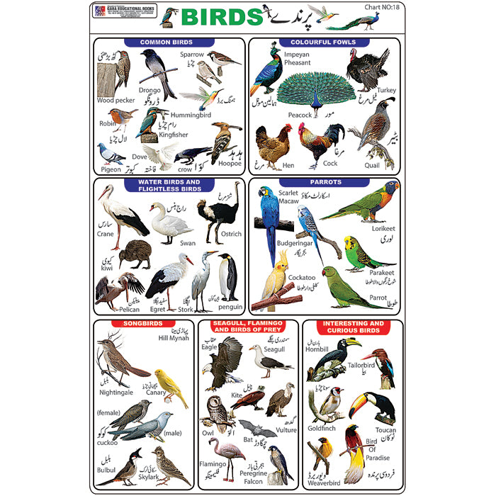 Chart No 18 (Birds) – gabaedu