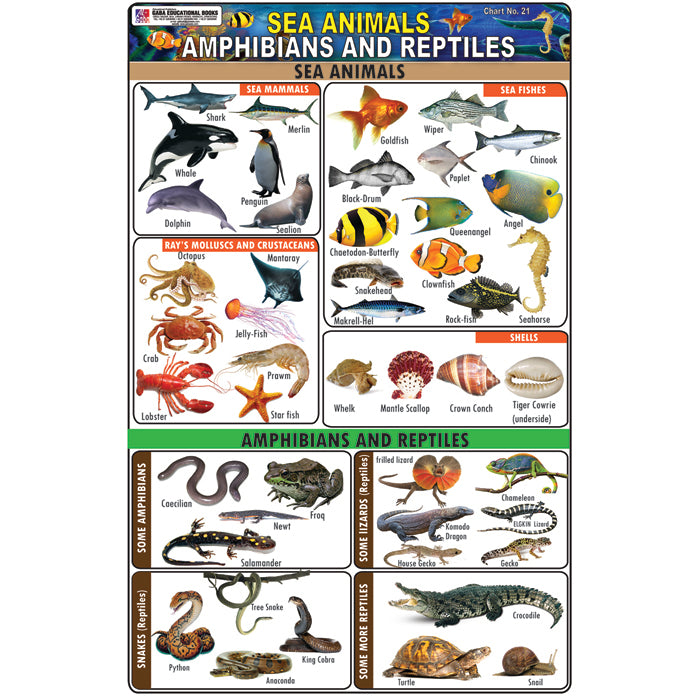 Chart No 21 (Sea Animals Amphibians and Reptiles) – gabaedu