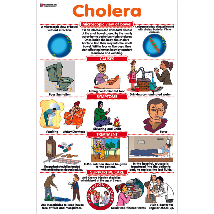 Chart No 97 (Cholera) – gabaedu