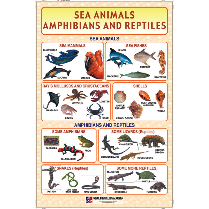 Chart No (Sea Animal Amphibians and Reptiles) – gabaedu
